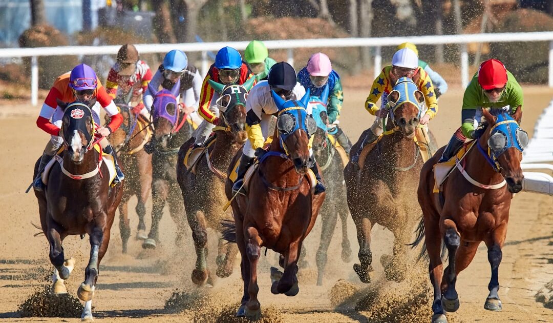Horse racing season kicks off at PMU Mali with full official betting ...