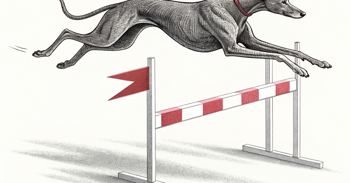 New South Wales greyhound racing sees drop in injuries