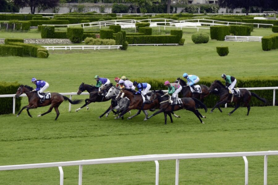 OLG launches online horse racing betting in Ontario