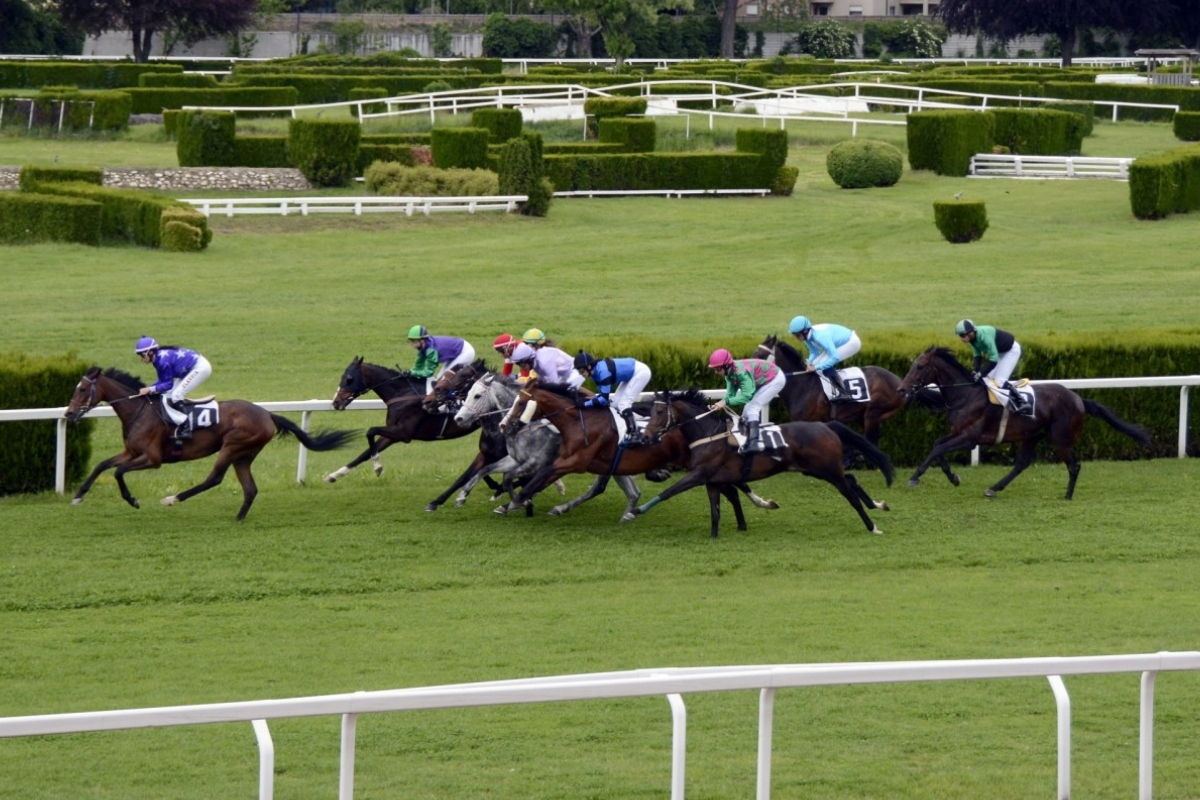 OLG launches online horse racing betting in Ontario